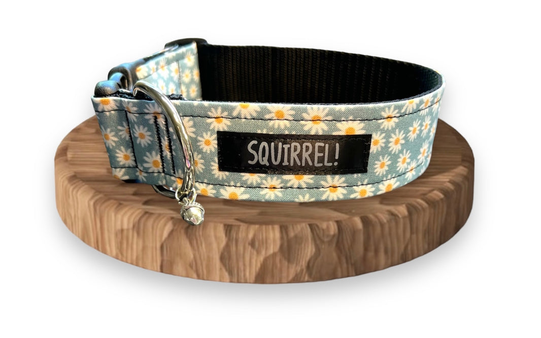 Collars – Squirrel!
