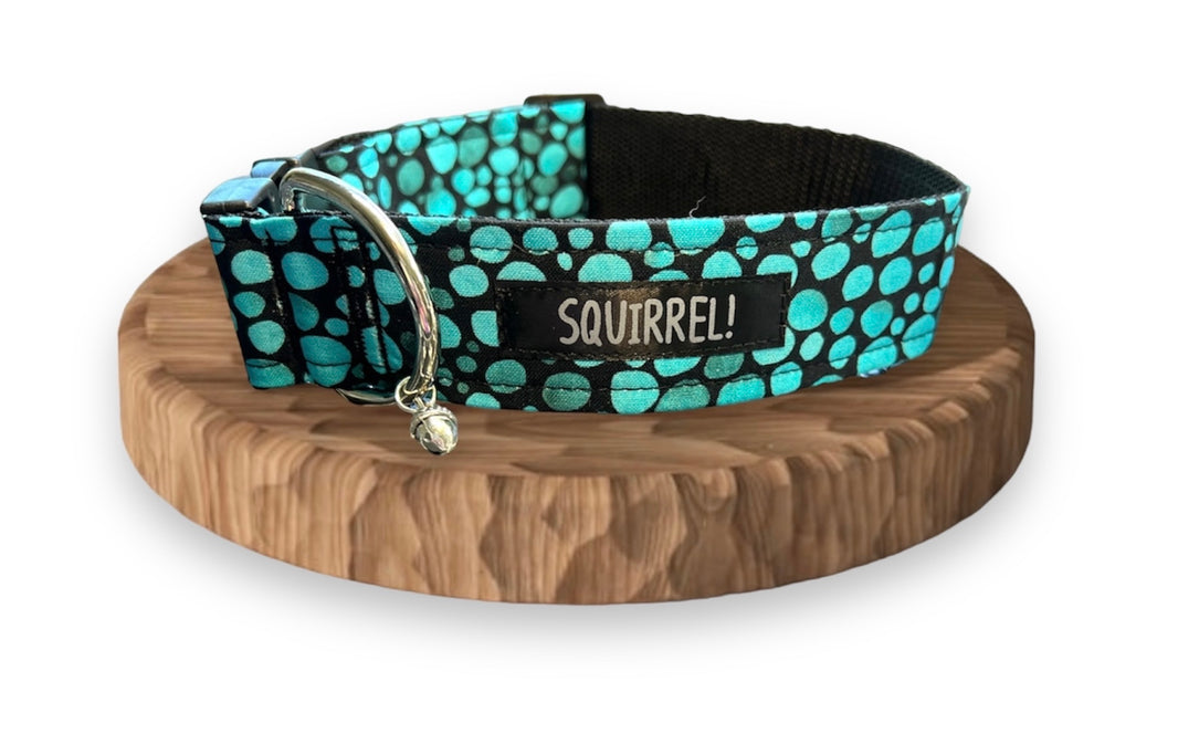 Collars – Squirrel!